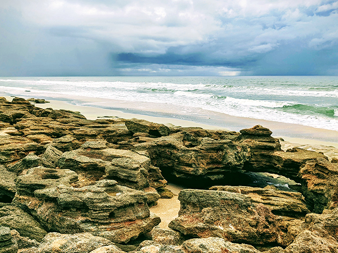 Atlantic waves have carved these coquina rocks into a masterpiece no human artist could replicate.