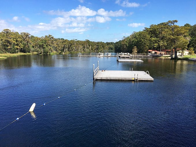 The wooden dock extends into the spring basin, offering visitors a platform to gaze into waters so clear they seem almost invisible.
