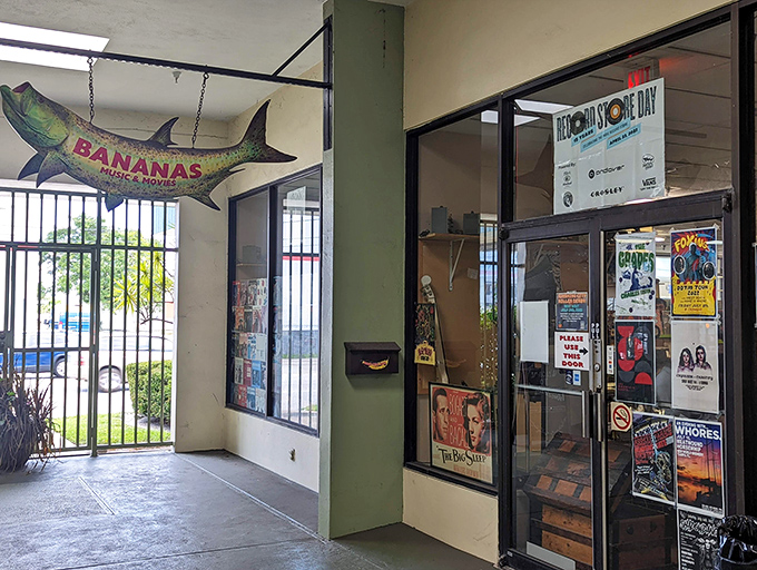 A quirky fish sign welcomes visitors at the entrance, setting the tone for the playful musical adventure that awaits inside.