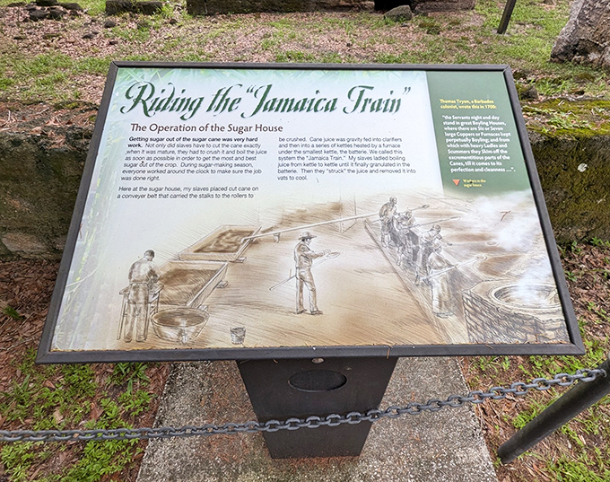 History class was never this engaging &ndash; this storyboard brings plantation life into focus without the boring textbook parts.