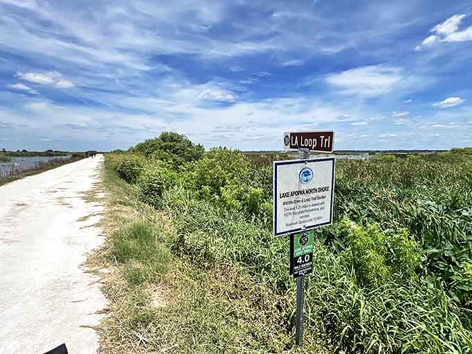 LA Loop Trail: where the only traffic is occasional turtles and the GPS voice would just say "wow" repeatedly.