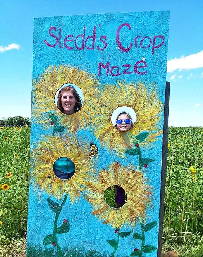 Strike a pose behind the photo board, because if you visited a sunflower farm and didn't take a silly picture, did you even really go?