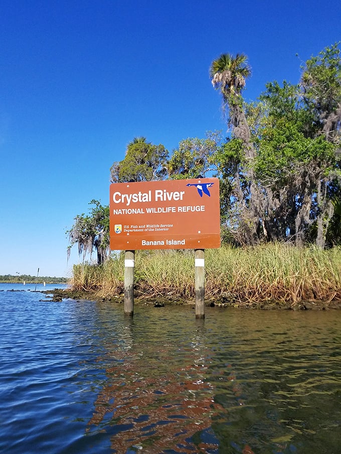 Palm trees stand sentinel over waters so inviting you'll be checking your pockets for your swim trunks before finishing this caption.