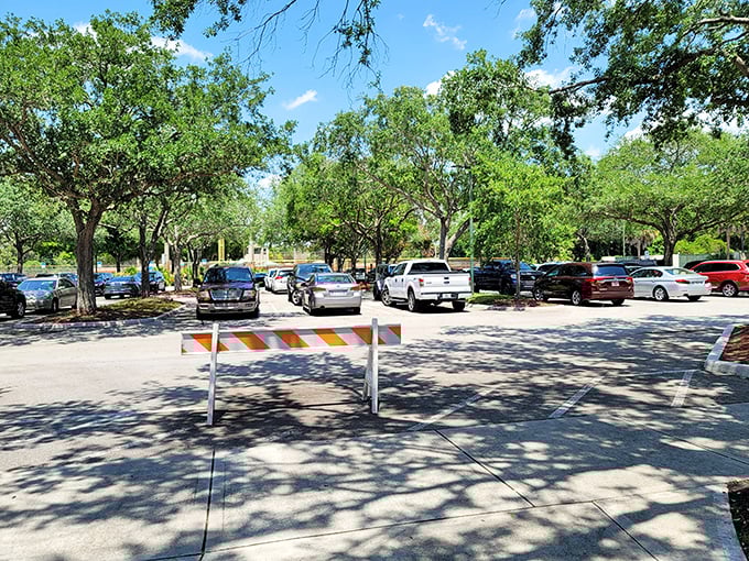 Parking paradise: Ample spaces mean less circling and more playing &ndash; a thoughtful detail that parents appreciate before the adventure even begins.