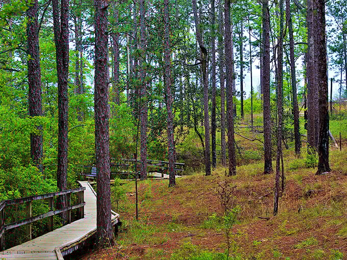 Nature's architectural masterpiece&mdash;no blueprint needed, just millennia of perfect green design.