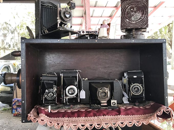 Vintage cameras await new owners &ndash; these mechanical time machines once captured family memories and now become collectible treasures themselves.