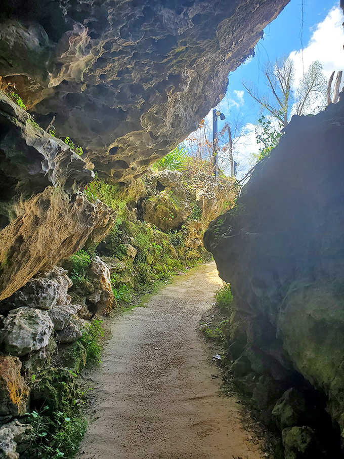 Sunlight streams through this natural rock corridor, creating a dramatic transition between the surface world and underground chambers.