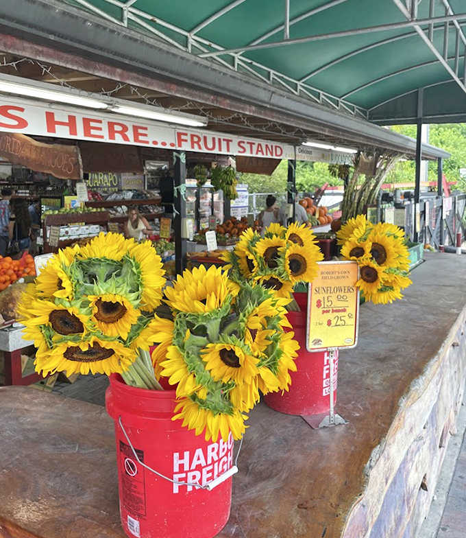Sunshine captured in petals! These vibrant sunflowers bring a touch of cheerful farm ambiance to the fruit-shopping experience.