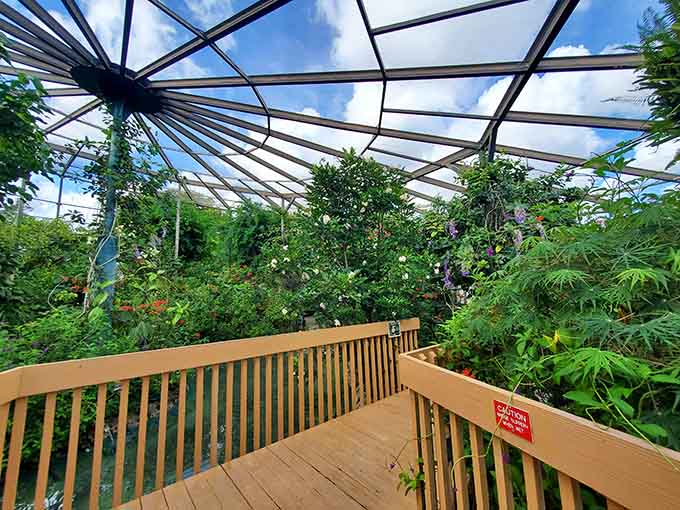 The botanical gardens create a backdrop so beautiful that the butterflies are almost just a bonus feature.