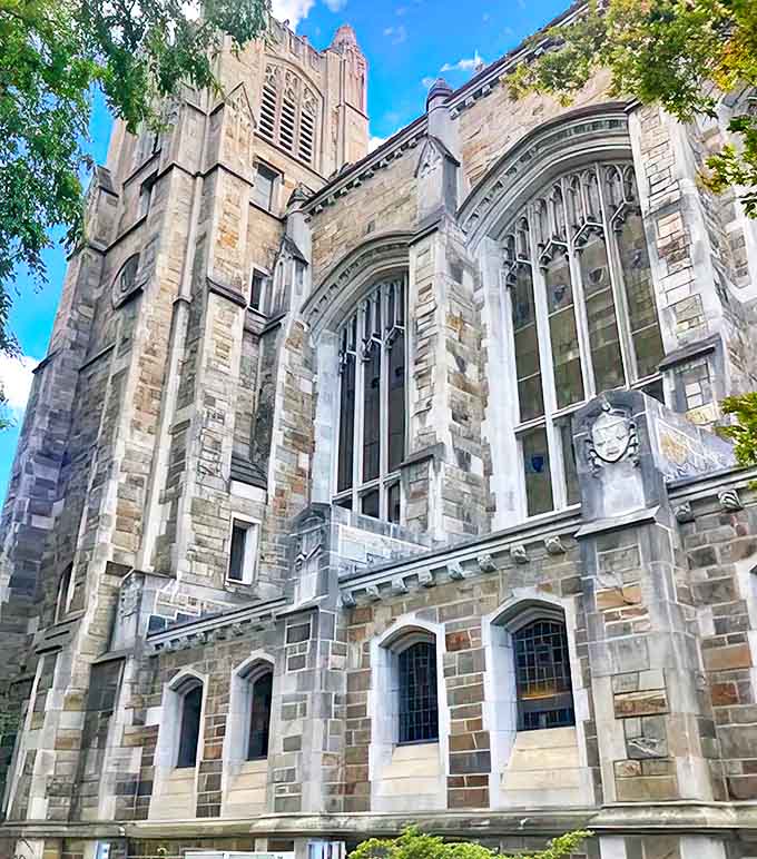 Sunlight plays across the varied stonework of this facade, highlighting the meticulous craftsmanship that makes each section of the Law Quad uniquely beautiful.
