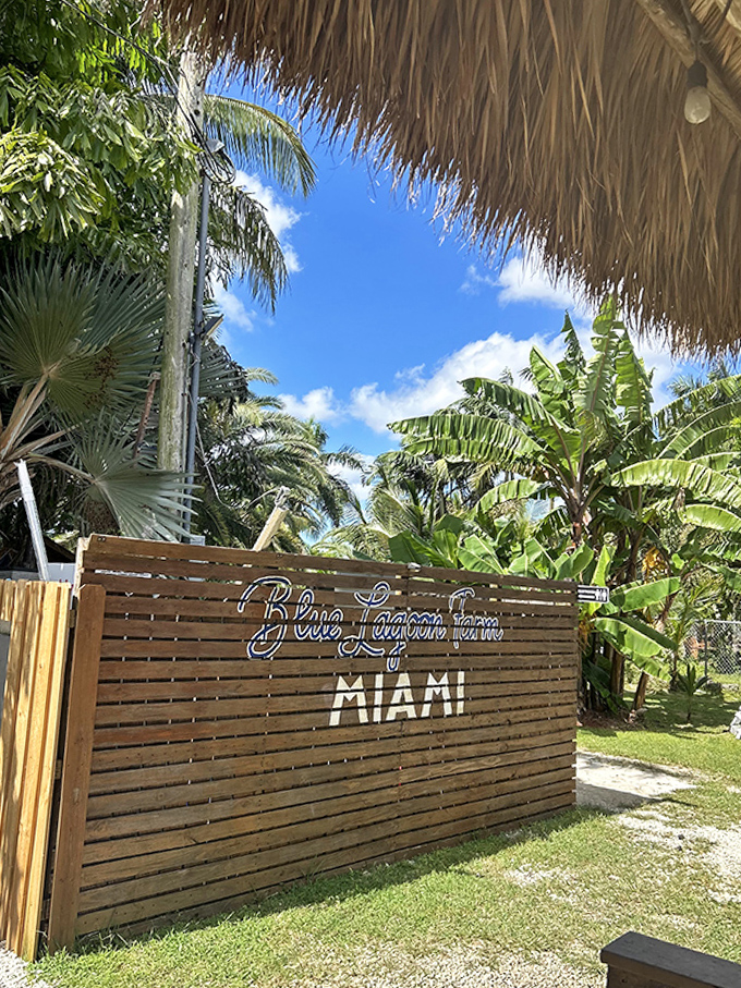 "Blue Lagoon Farm Miami" announces itself with understated charm, a wooden sign marking the entrance to this hidden gem.
