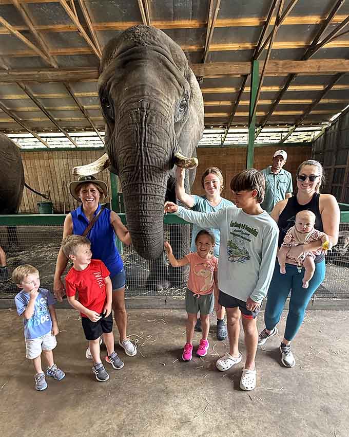 Group photos capture the joy of shared experiences, where families create memories that'll be retold at dinner tables for years to come.