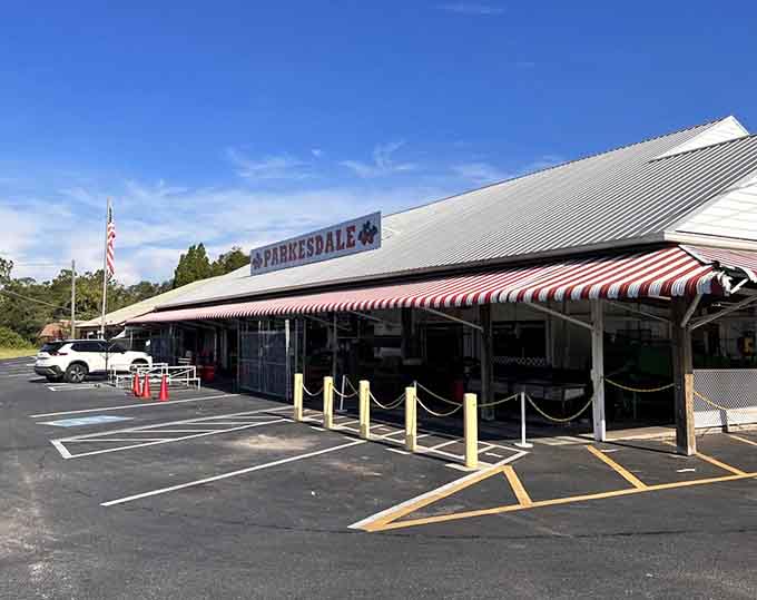 The parking lot fills up fast during peak season, proof that word has definitely gotten out about this place.