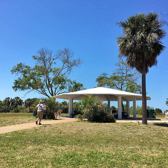 Pavilion: This shaded oasis offers respite from the Florida sun, a gathering place for families creating memories that outlast sunburns.