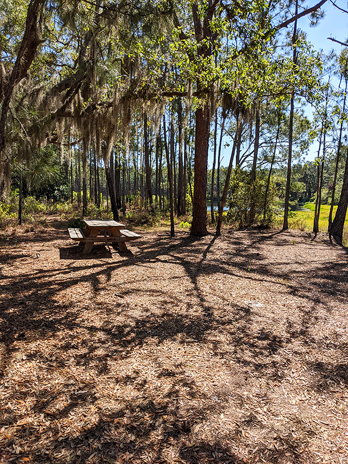 This shaded picnic spot invites hikers to rest and refuel, proving that sometimes the best restaurant has no walls, no menu, and no reservations required.