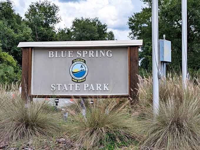 Signage: The park's entrance sign stands amid native grasses, a humble gateway to one of Florida's most magical natural experiences.
