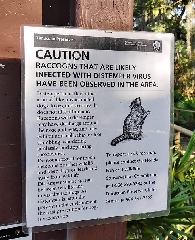 Wildlife warnings remind you that nature is real here, not sanitized, making every encounter authentic and slightly unpredictable.