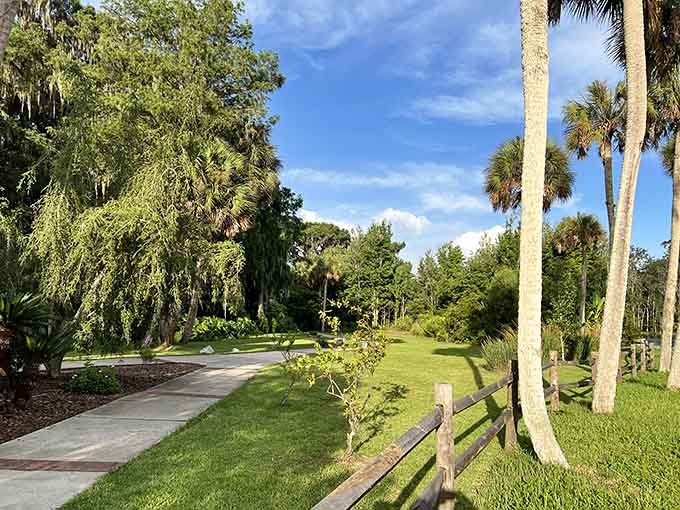 Towering trees draped in Spanish moss create a canopy that filters sunlight into something magical, proving that Florida does have seasons, they're just called "shady" and "really sunny."