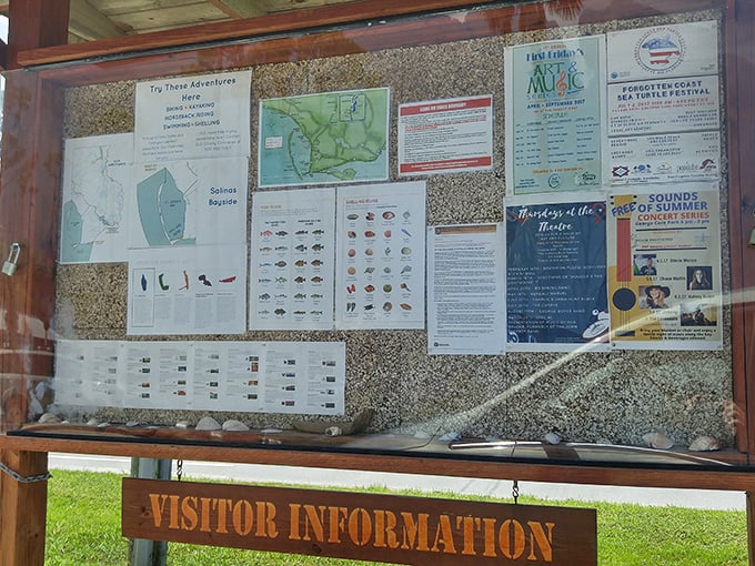 Local information boards highlight the natural wonders of the area, enhancing your appreciation of this unique coastal ecosystem.
