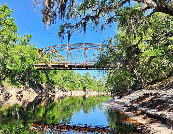 The bridge stands in perfect harmony with its surroundings, rust-colored steel complementing the earthy tones of the Suwannee's banks.