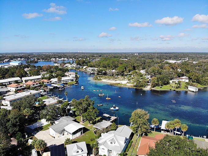 From above, Crystal River reveals its true splendor—a patchwork of blue waters, green islands, and the gentle curve of Florida's Gulf Coast.