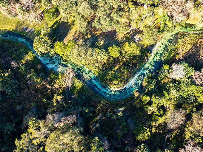 Bird's eye brilliance: From above, the spring reveals itself as a blue-green ribbon winding through Florida's lush wilderness.
