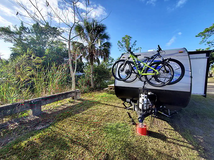 Two-wheeled freedom awaits! Bikes stand ready for campground cruising – the perfect pace to spot wildlife or elusive cryptids.