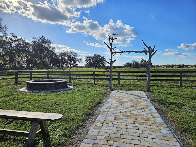 Simple stone fire pit and wooden bench: sometimes the best entertainment is watching stars appear above Florida pines.