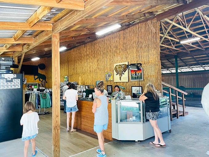 The gift shop offers thoughtful souvenirs that support conservation while keeping memories of your elephant encounter alive.