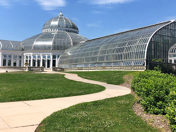 The conservatory's stunning glass architecture gleams in the sunlight, a Victorian palace housing botanical treasures from around the world.