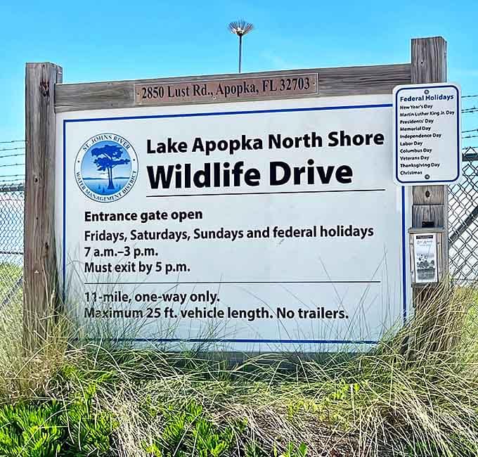 The preserve's simple wooden sign states its powerful mission: "Preservation Through Education" – four words that capture an entire philosophy.