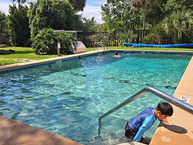 The swimming pool offers a more conventional aquatic experience for those who prefer their water adventures without prehistoric vibes.