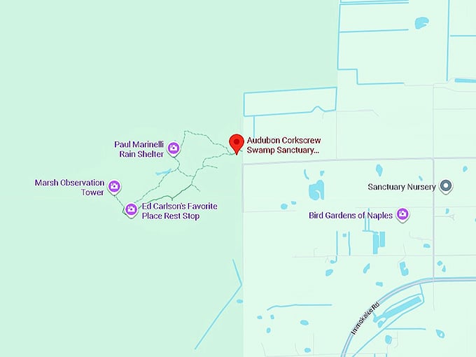 audubon corkscrew swamp sanctuary map