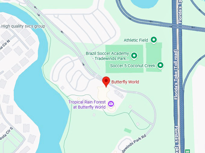 16. butterfly world map