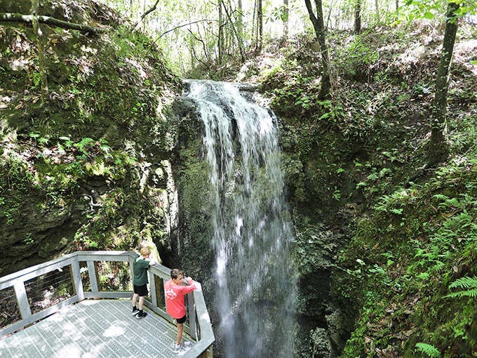 Falling Waters' 73-foot cascade plunges dramatically into a cylindrical sinkhole, creating Florida's tallest waterfall amid lush greenery.