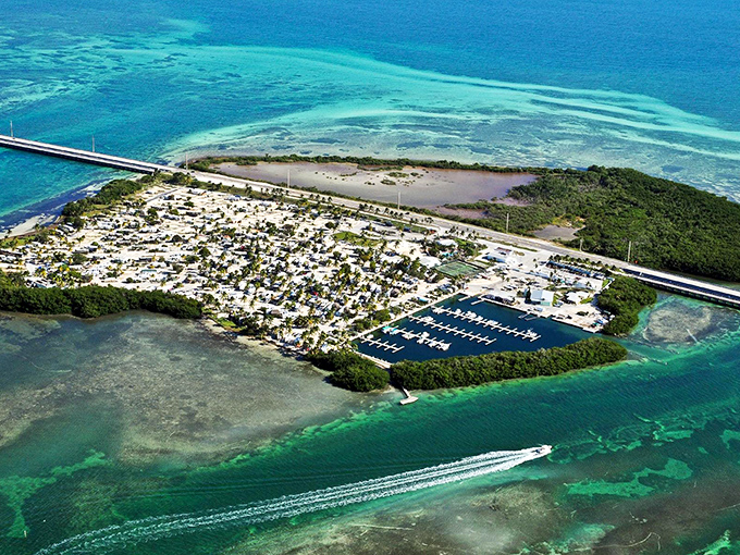 The Great Florida Reef stretches 170 miles, a kaleidoscope of marine life that makes your home aquarium look like a puddle with aspirations.