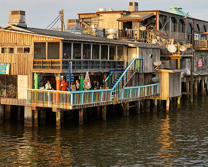 Cedar Key's colorful waterfront buildings perch on stilts above the Gulf, a rainbow-hued reminder of Florida's fishing village heritage.