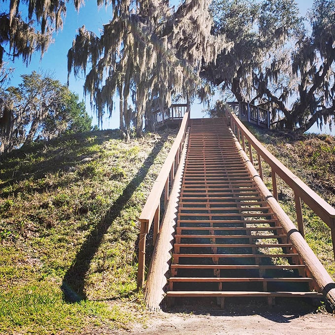 Ancient earthen mounds rise mysteriously from the Florida landscape, silent witnesses to Native American ceremonies held thousands of years ago.