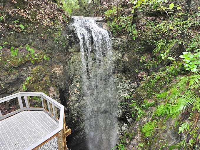 Falling Waters' dramatic 70-foot plunge creates a misty curtain disappearing into a mysterious limestone sinkhole below.