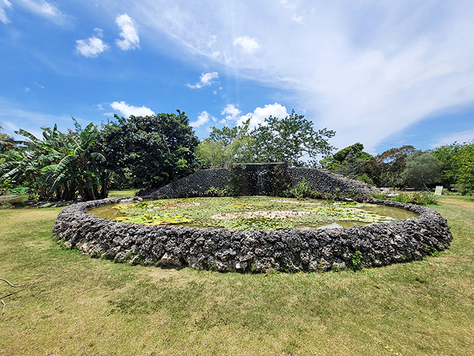 Ancient stone circles and lily ponds create a mystical atmosphere at Fruit & Spice Park, where history and exotic plants merge.