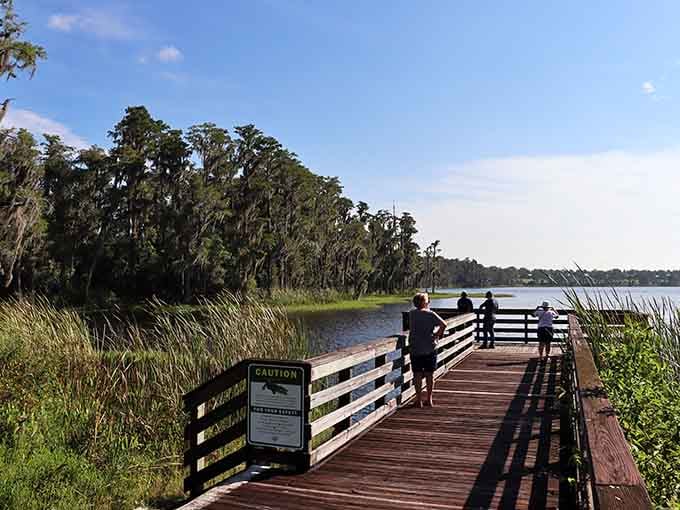 Wooden boardwalks stretch over peaceful waters where Spanish moss drapes like nature's own decorations overhead.