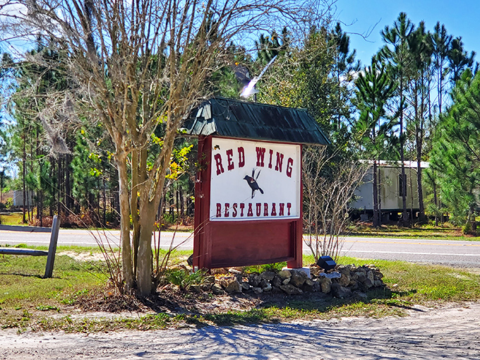 The iconic Red Wing Restaurant sign stands proudly among Florida pines, promising country cooking that's worth the drive to Groveland.