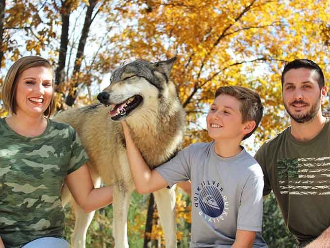 Meeting wolves face-to-face creates memories that last forever, and these gentle giants are waiting to say hello.