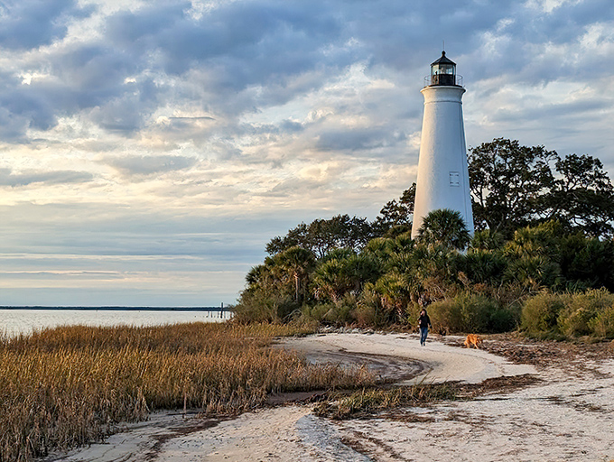 The historic St. Marks Lighthouse stands sentinel against a dramatic sky, its white tower contrasting beautifully with the golden marshes surrounding it.