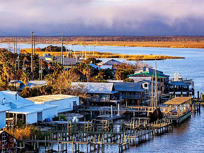 The working waterfront of Apalachicola stretches along the river, where fishing boats and docks create a postcard-perfect scene of Old Florida.