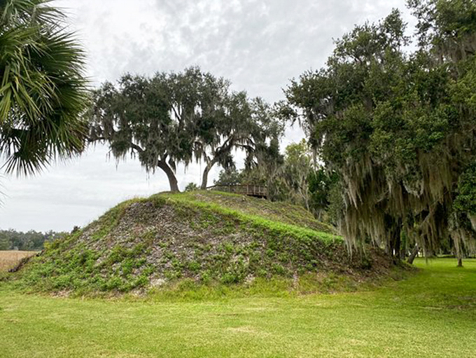 The peaceful walking trail at Crystal River winds through history, where every step takes you deeper into Florida's ancient past.