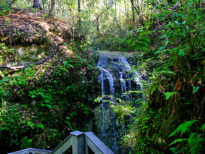 The wooden viewing platform at Falling Waters offers the perfect vantage point to witness Florida's tallest waterfall in action.