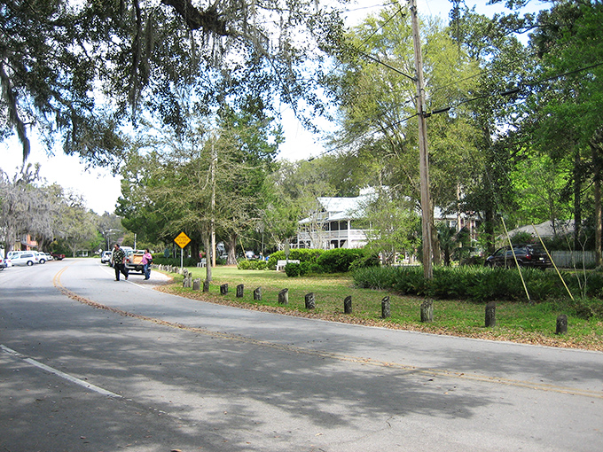 A peaceful residential street in Micanopy where time seems to slow down, showcasing historic homes with generous front yards.