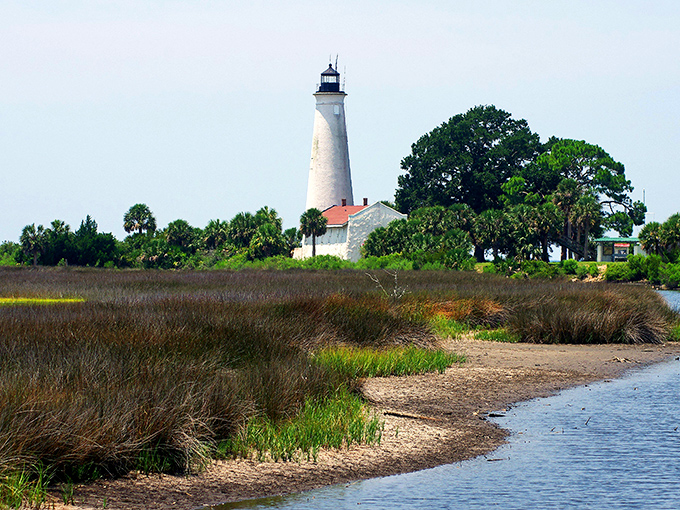 St. Marks National Wildlife Refuge showcases Florida's natural coastal beauty with its pristine marshlands stretching toward the iconic lighthouse in the distance.