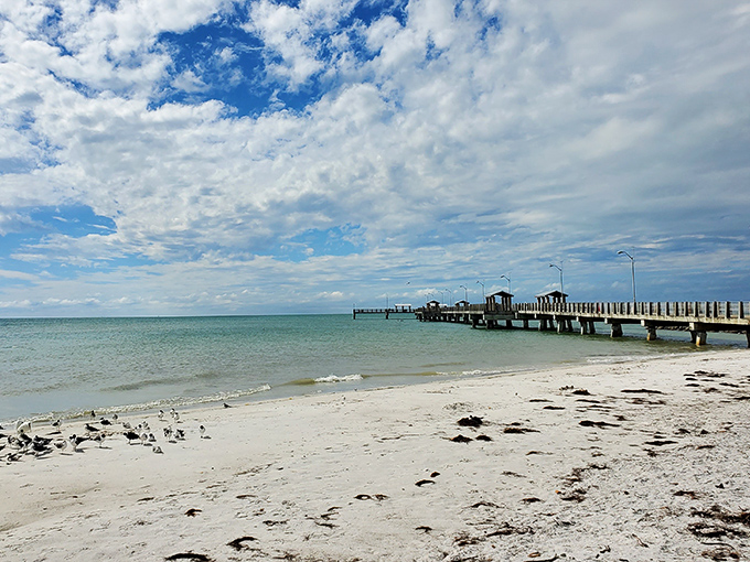 Beach: The pristine shoreline stretches invitingly along the Gulf, where the sand squeaks beneath your feet like nature's own welcome mat.